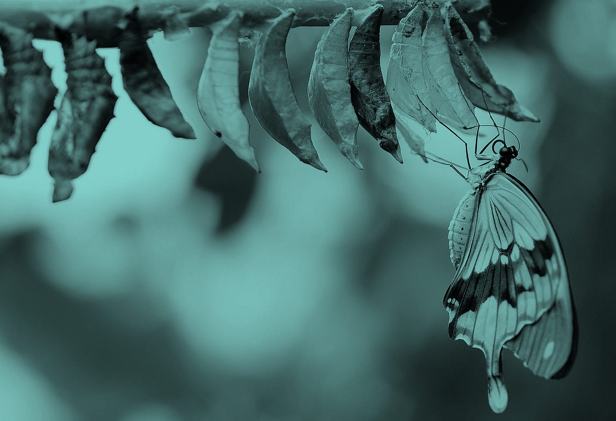what is hard work? what is growth? it’s time to evolve the benchmarks ...