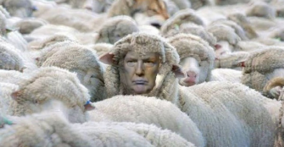 The year is 2083.. Why would those people have supported a… | by Steven ...