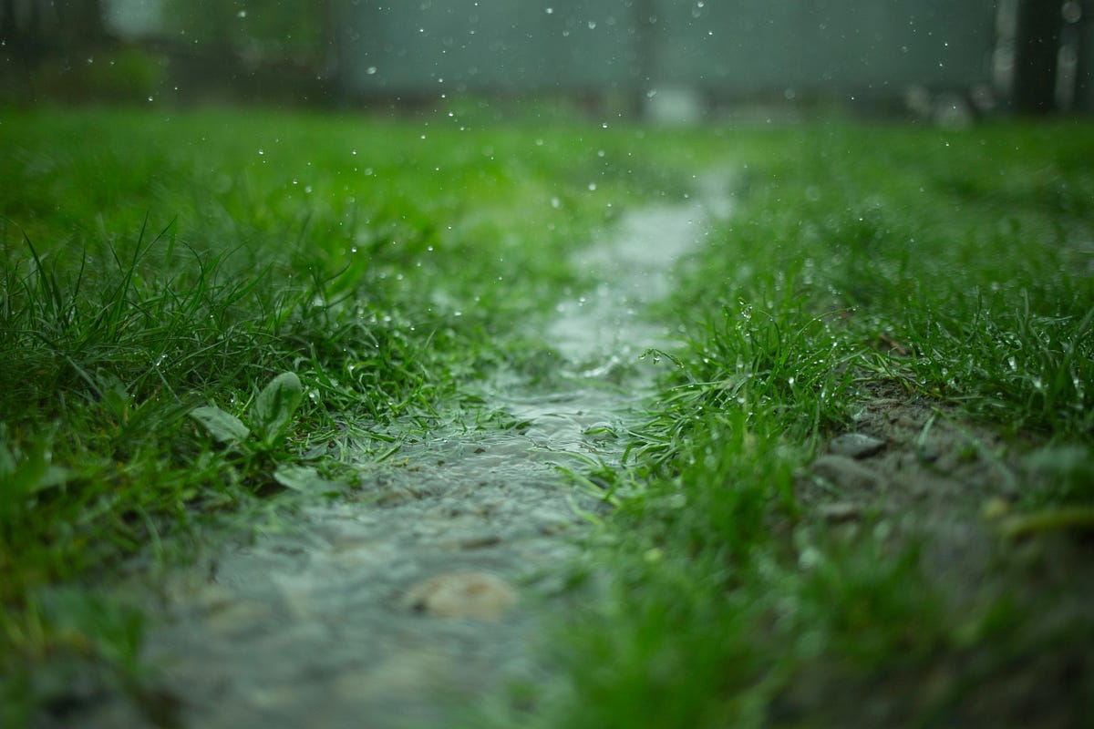 The Days After — A Poem - Oluwatosin Joe Ajibade - Medium