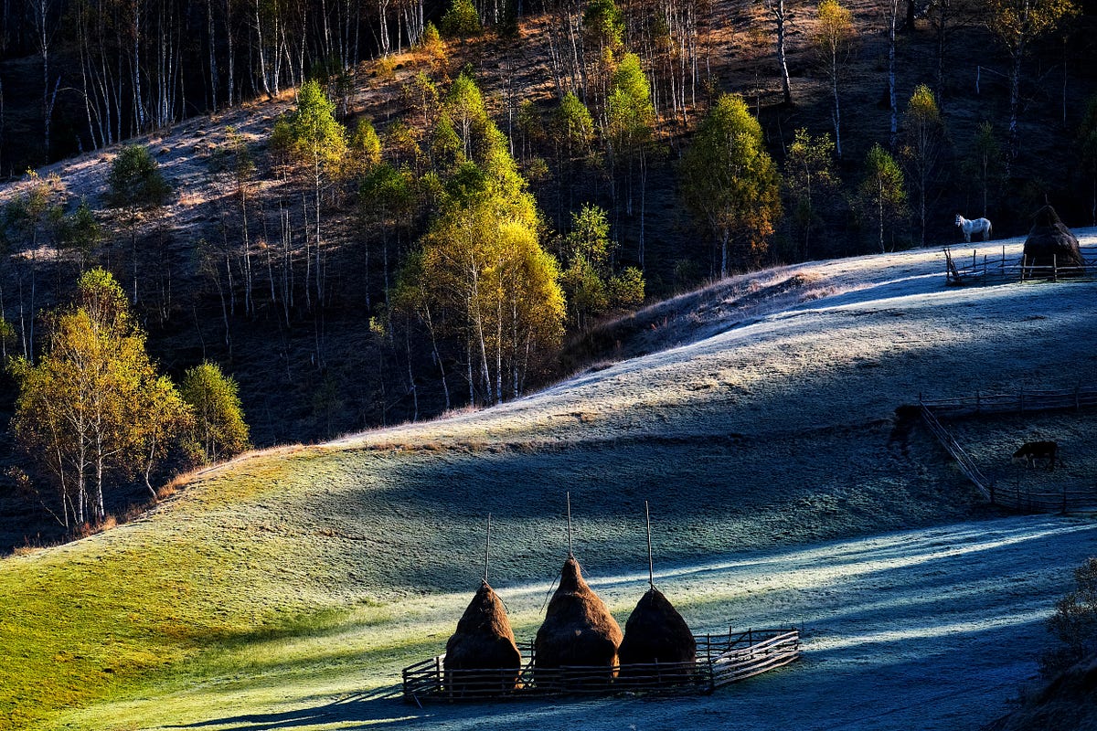 Wisdom Of The Land — Exploring The Remote Villages Of Romania | by ...