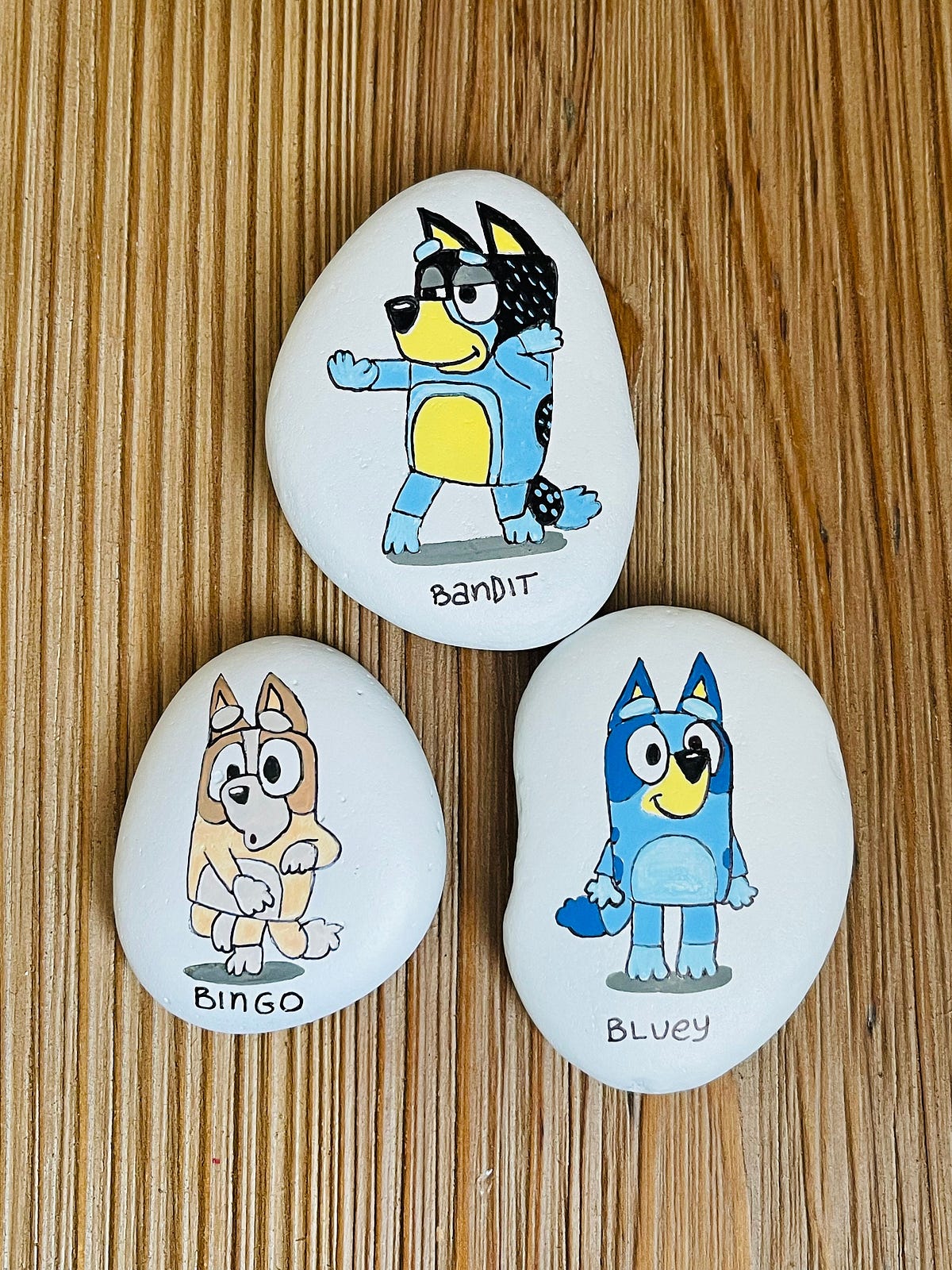 Bluey characters painted rocks Heeler family rocks — SEALED 12.50 each ...
