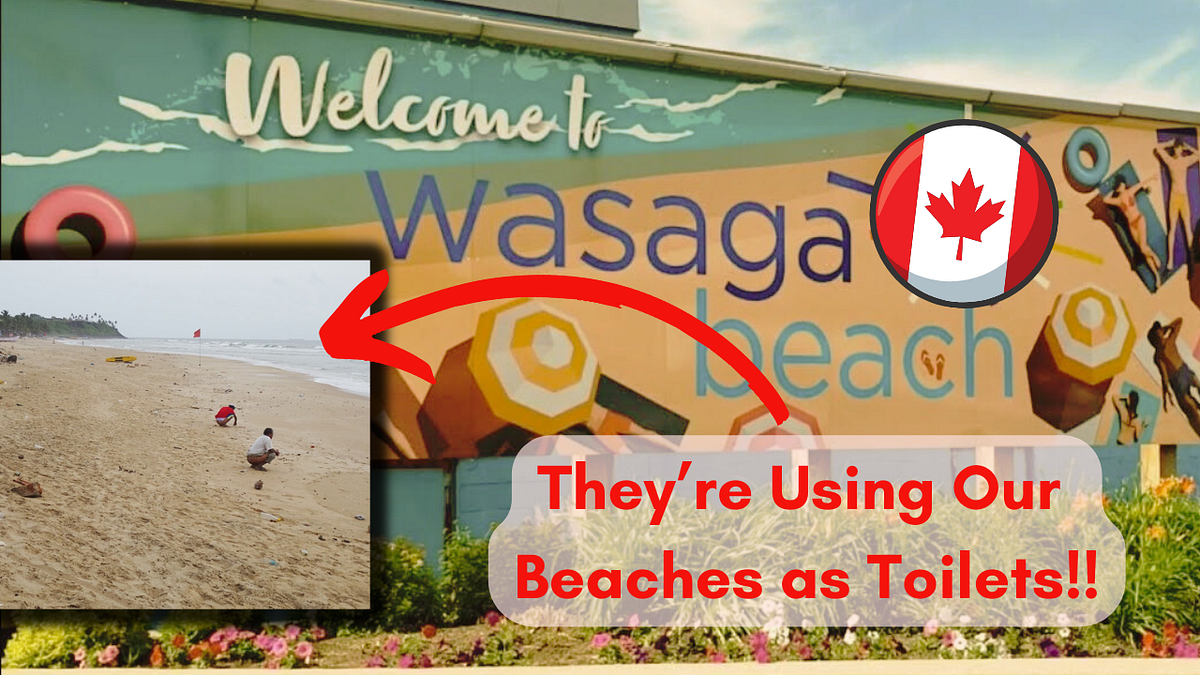 They’re Defecating on our Beaches — But Calling it out is “Racist” | by ...