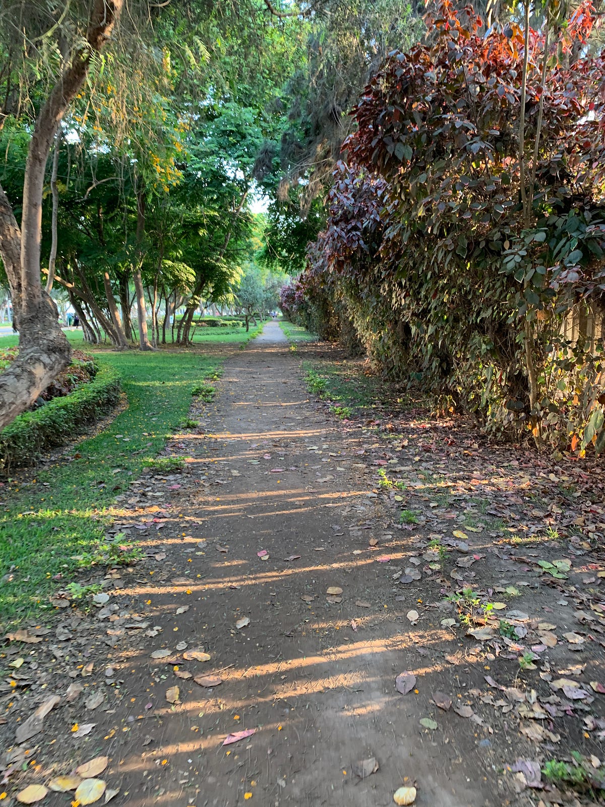 Autumn in Peru. I just felt like writing whatever came… | by Giuseppe ...