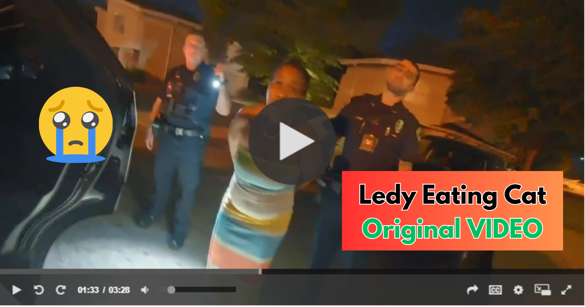 Watch: Canton Ohio Woman Eats Cat Original Video Reddit Twitter | by ...