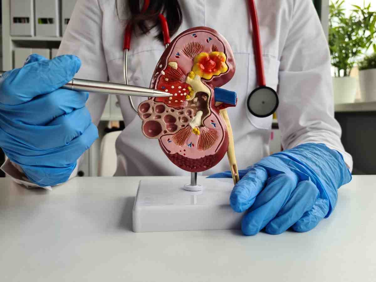 Your Kidney Health Matters: Consult a Trusted Nephrologist Doctor in ...
