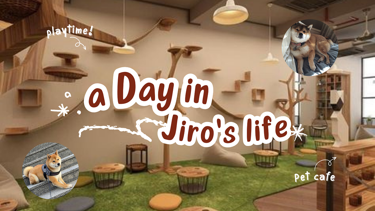 Jiro’s Playdate POV | by Zhou | Jun, 2024 | Medium