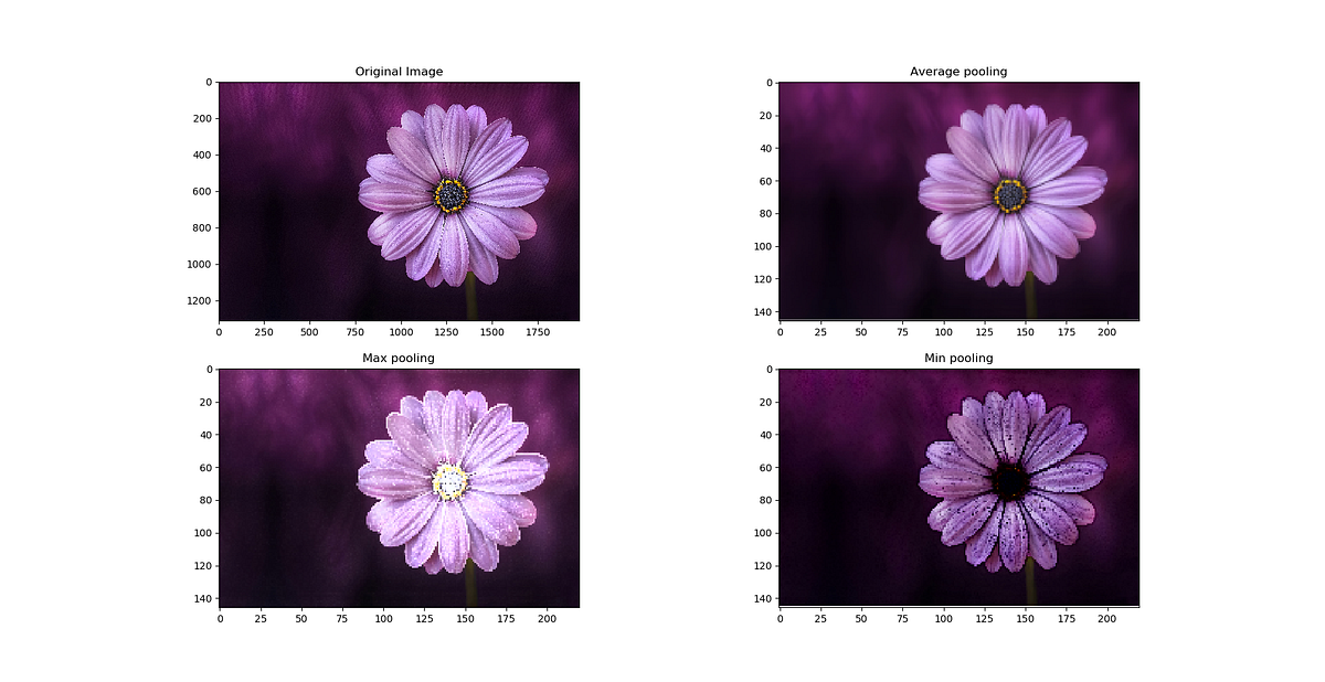 Maxpooling vs minpooling vs average pooling | by Madhushree ...