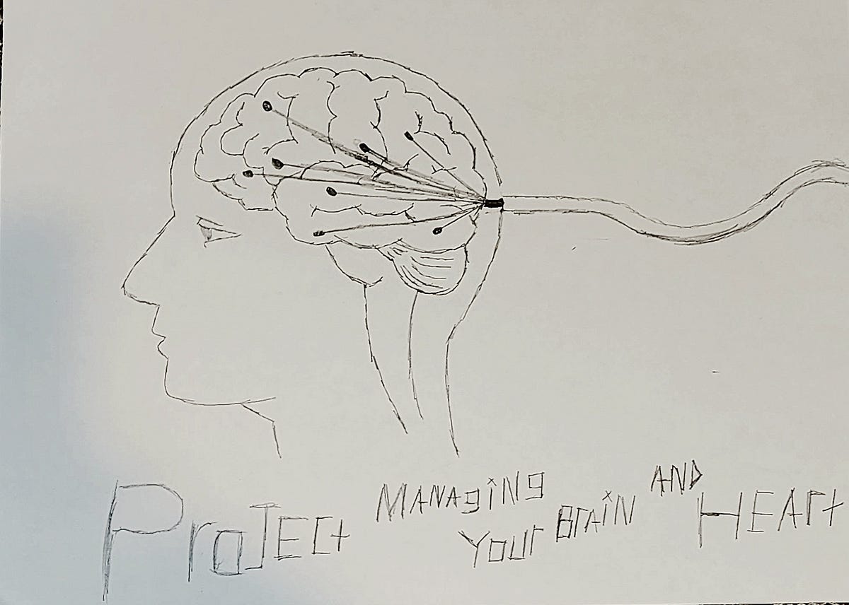Project Managing Your Brain and Heart: A New Approach to Stress | by Caroline Obeahon | Medium