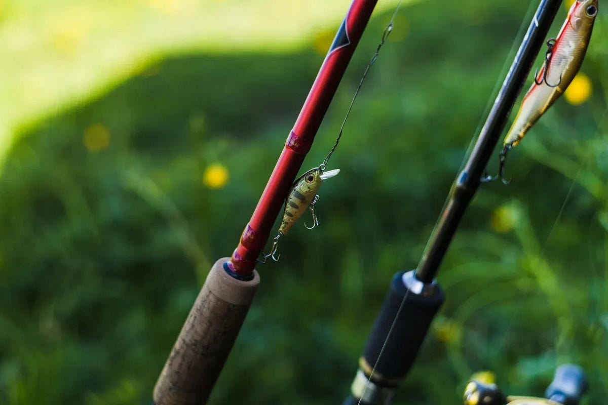 The Ultimate Guide to Selecting the Right Fishing Rod: A Beginner’s ...