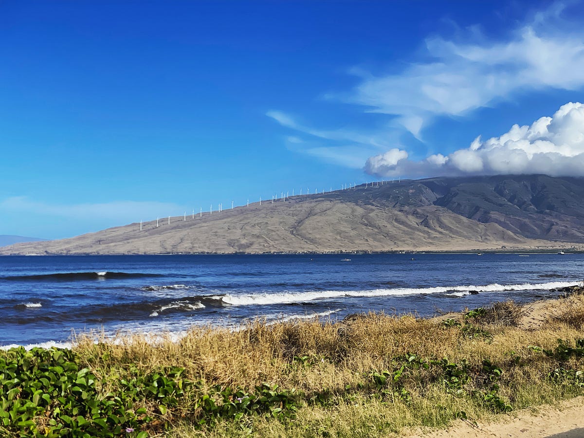 A Tale of Two Mauis: Should you stay or should you go? | by Megan ...