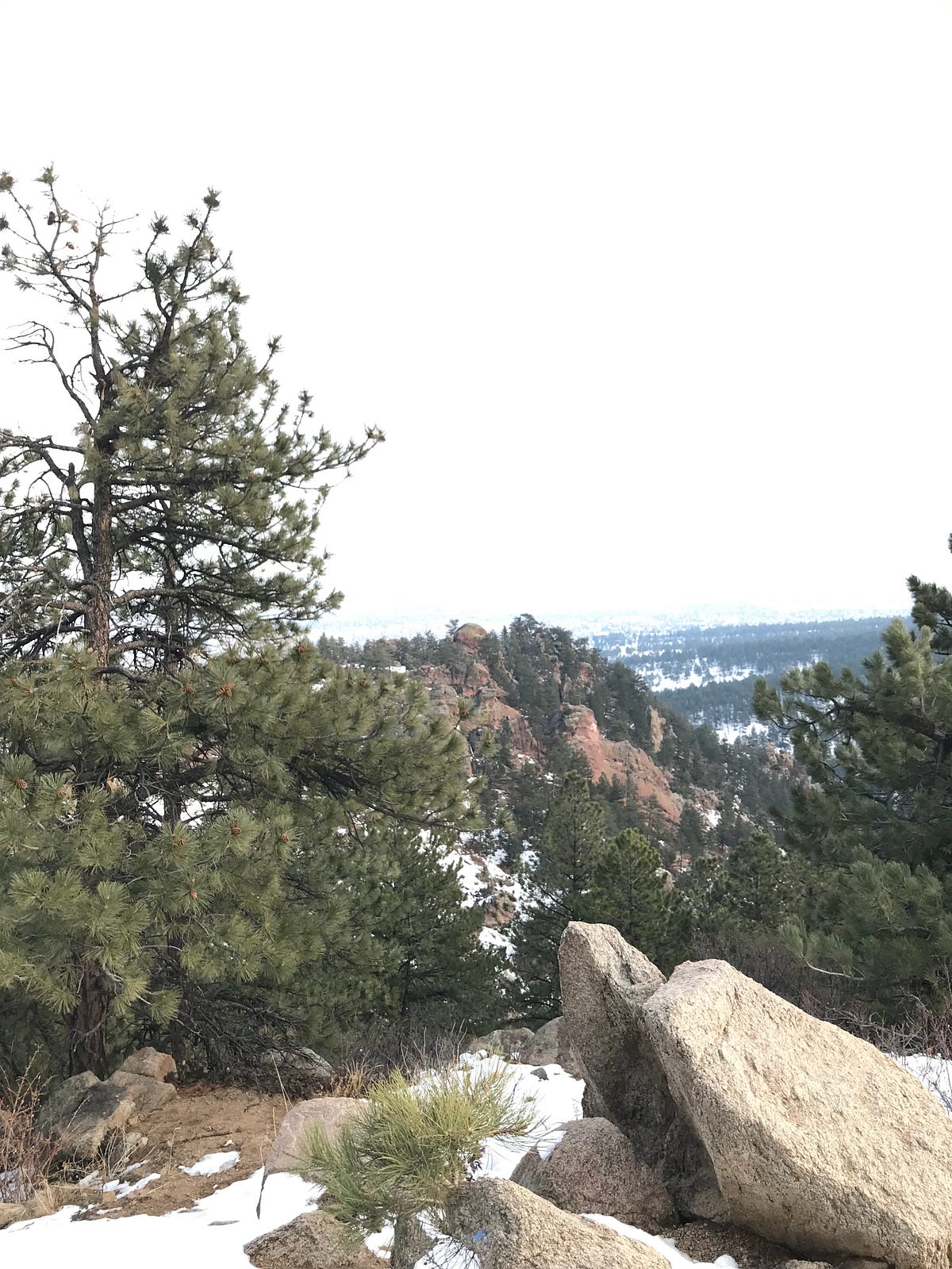 Mountain Air - PETER BRANDEL - Medium