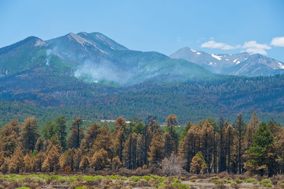 Fire season in Flagstaff persists as residents recover from flooding ...