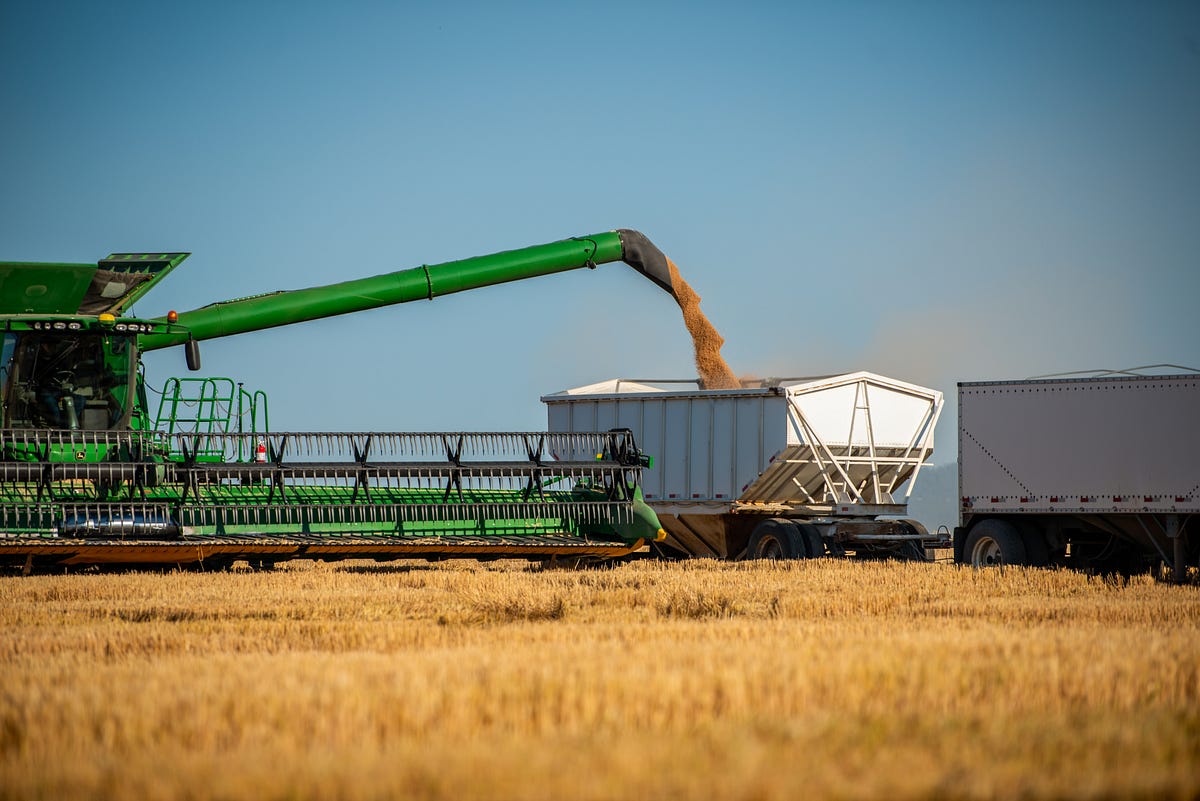 The Power of Corporate Agriculture: Part I | by Leah Kelly | Center for ...