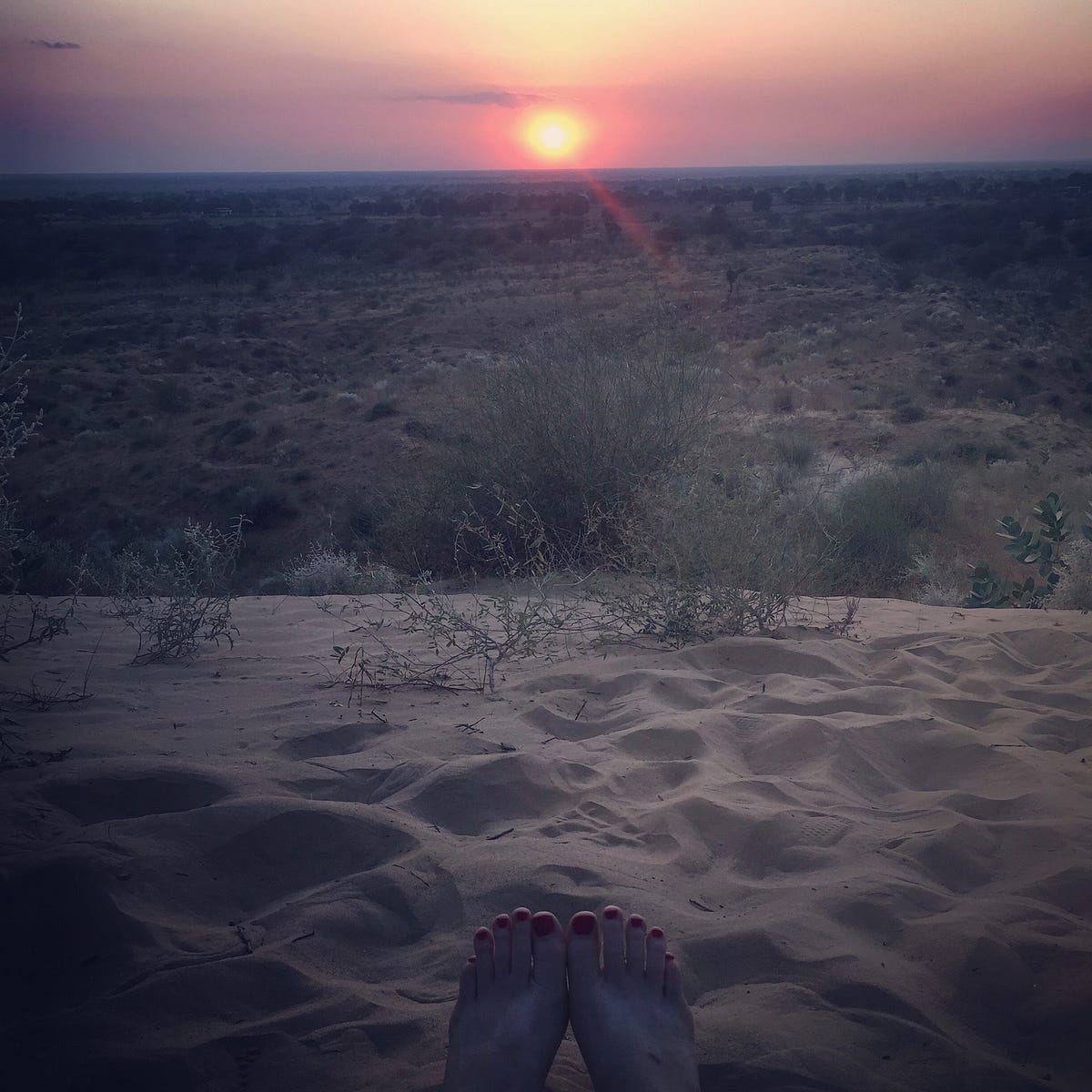 Tordi — cricket, saris and sand dunes | by Ariel Meranus | Medium