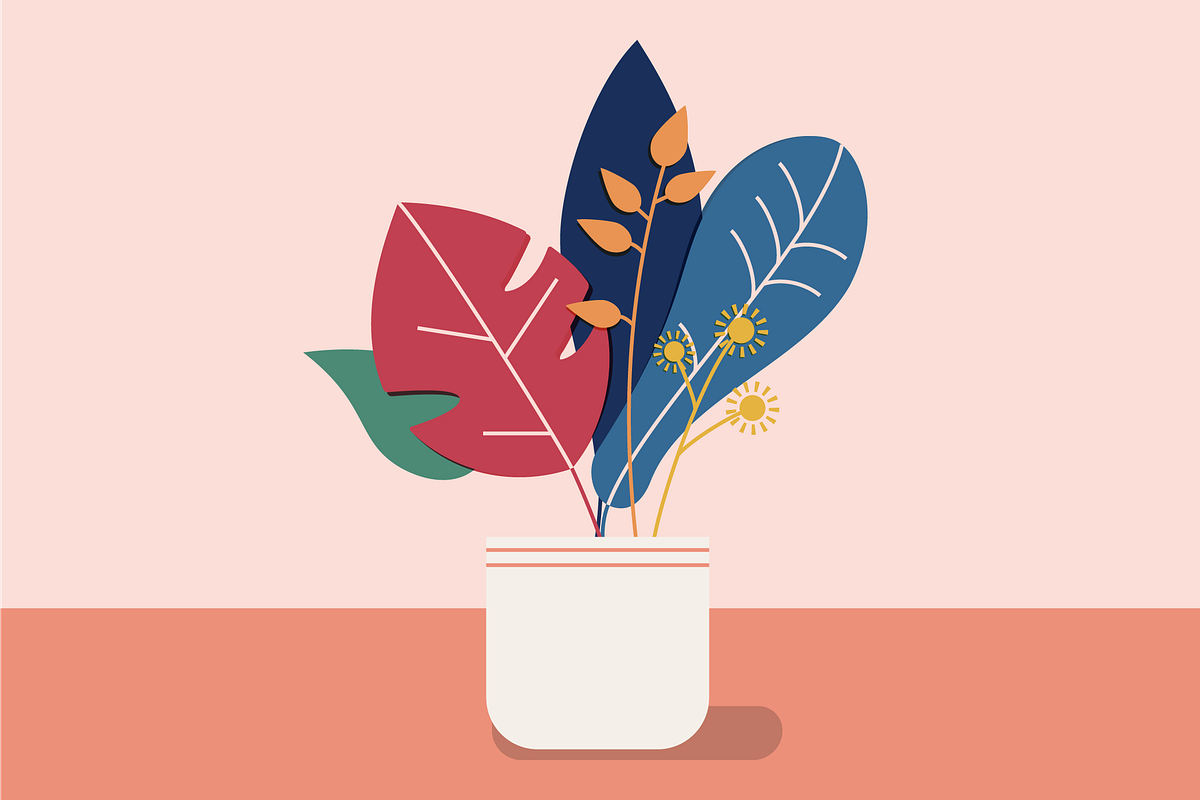 Beginner’s Mindset: How to Learn & Grow as an Ally | by Elissa Burdick ...