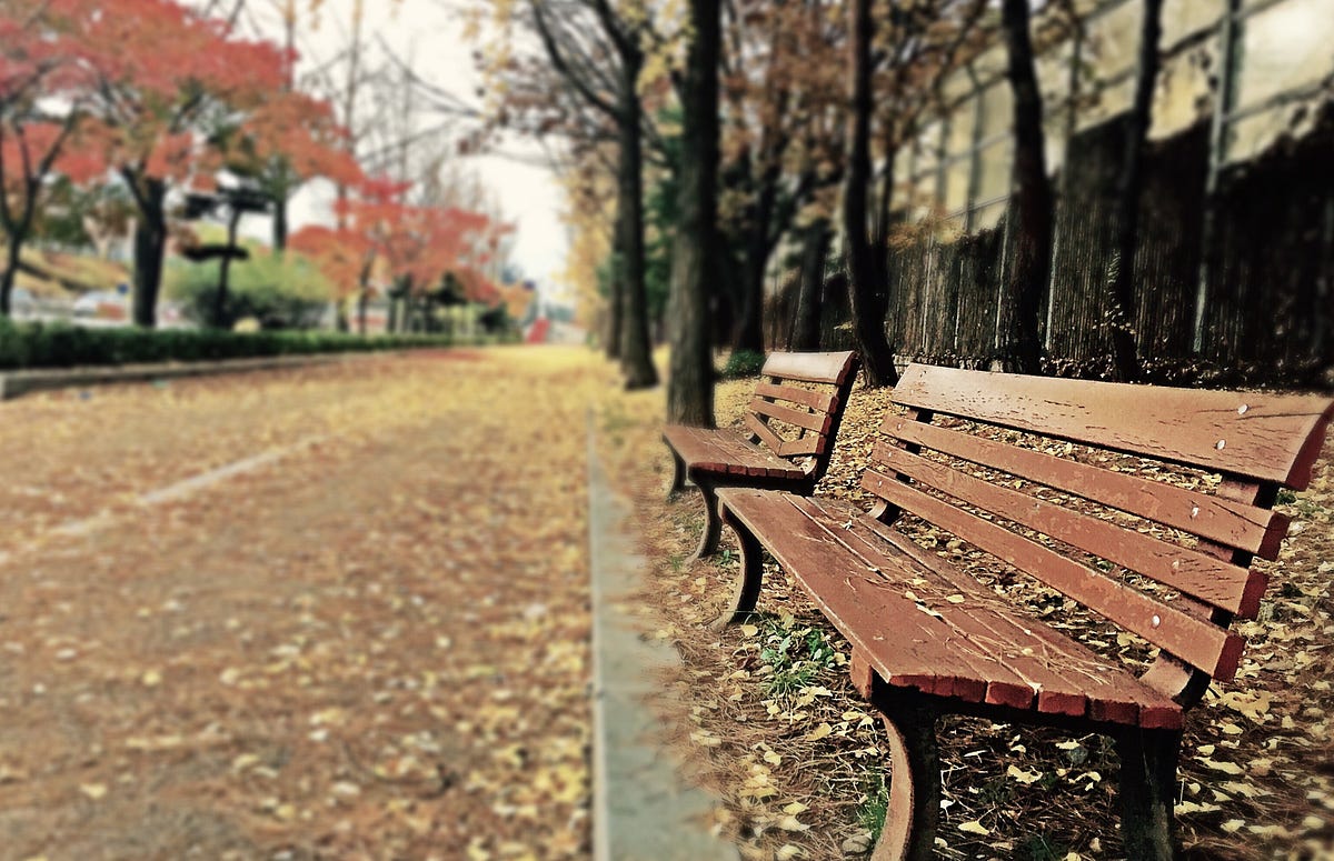 Mr. Tweezer. Stanley was relaxing on the park bench… | by Rohit Gupta ...