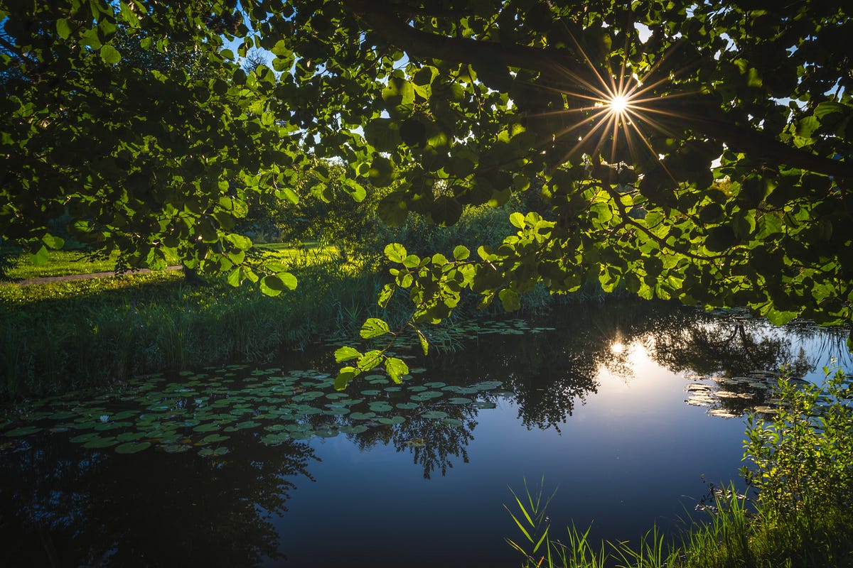 Monday Mindset: Embrace, Empower, & Elevate | by Libby Shively McAvoy ...