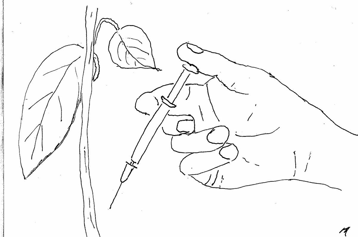 Green Thumb - 2-Bite Stories - Medium