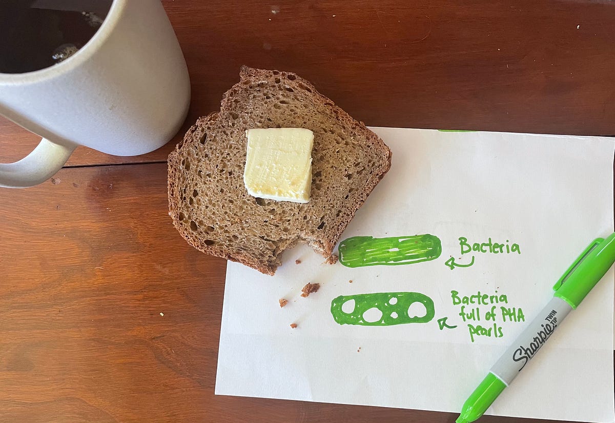 PHA 101. Polyhydroxyalkanoate (PHA) is our bread… | by Full Cycle ...