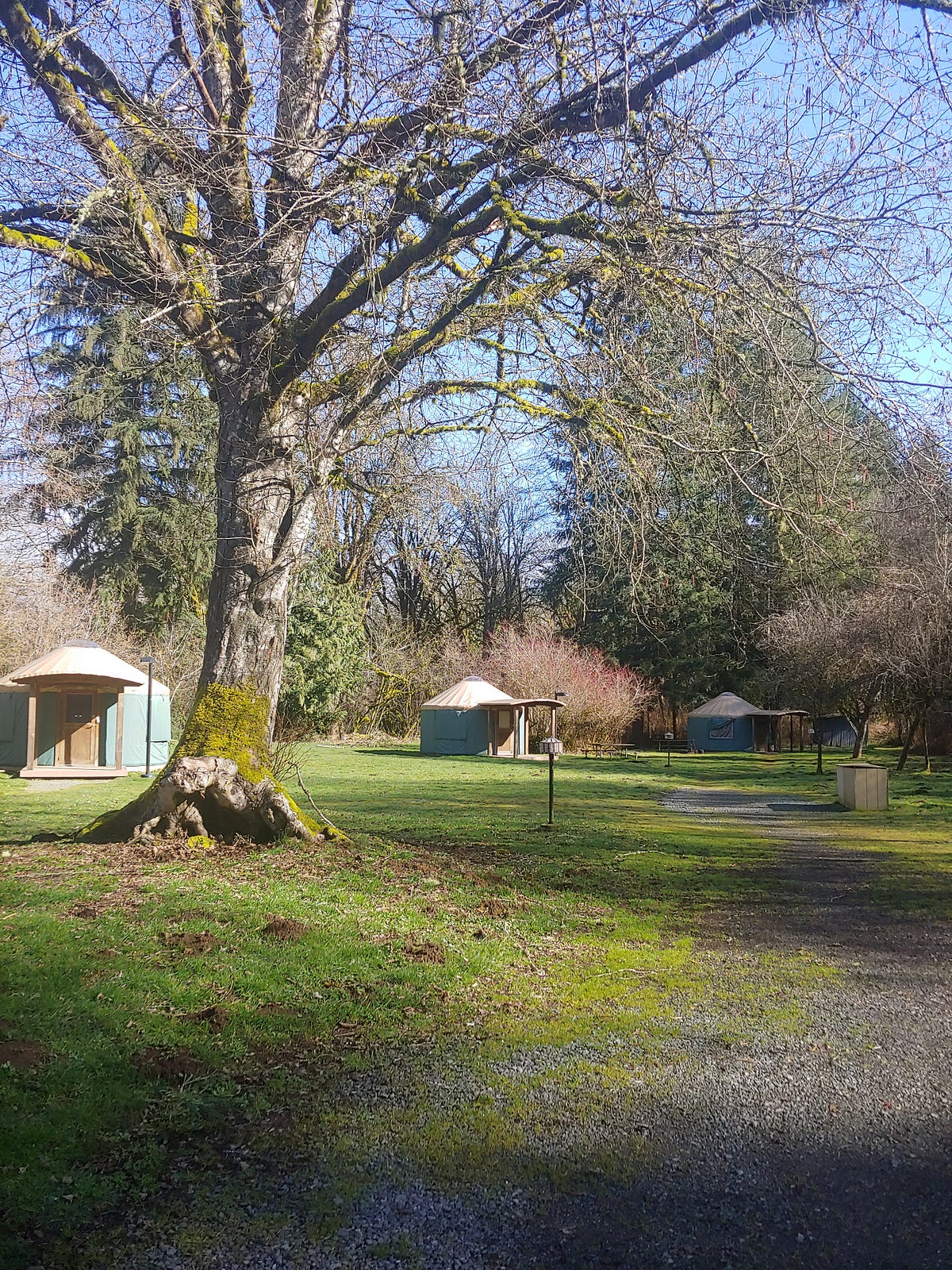 Adventures in Solitude. My weekend alone in a yurt. | by Adele Vinaya ...