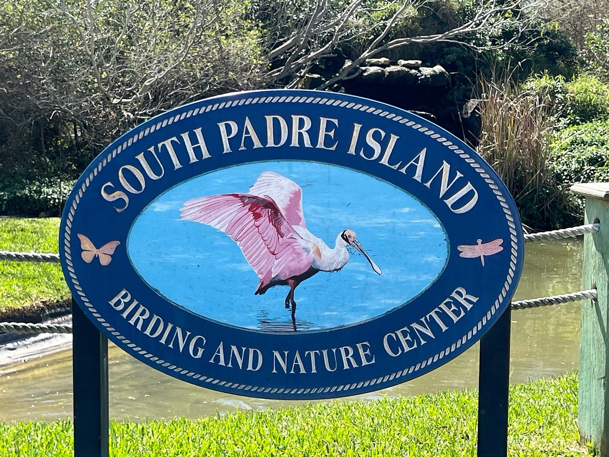 The Birds of South Padre Island. As seen at the SPI Birding and Nature ...