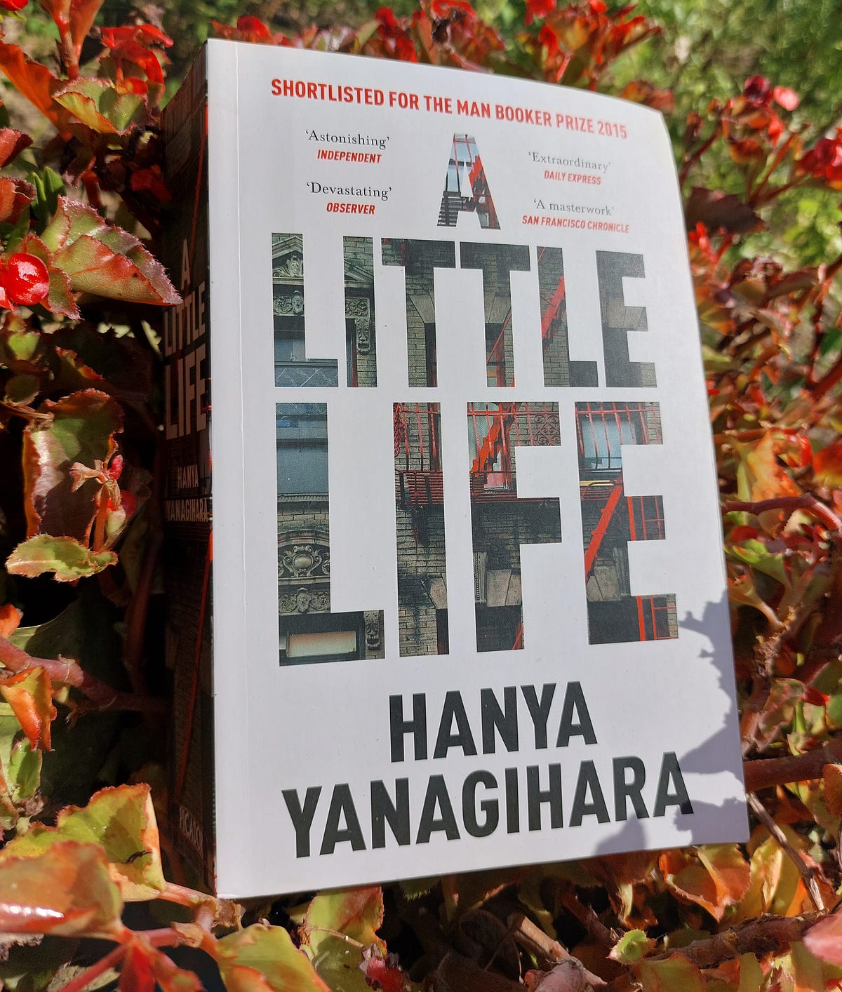 Book Review: ‘A Little life’, Hanya Yanagihara | by Aarju Poudel | Medium