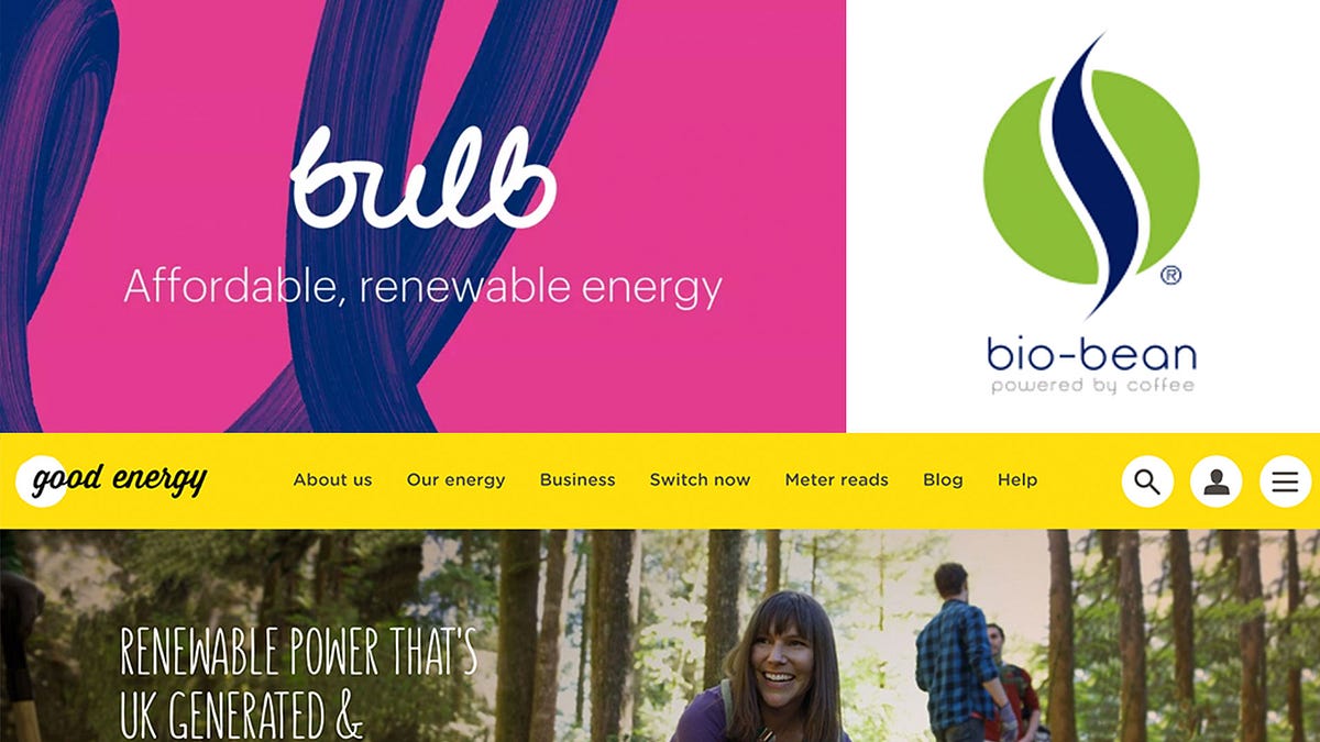 Equi Energy. Brand Identity Doc | by emily allison | Medium