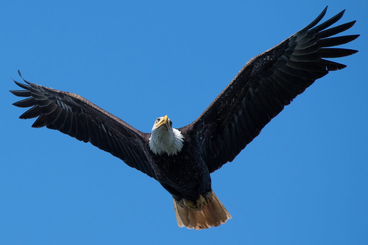 What I Learned from Crashing a Jet: Part 4 — How to Let Go and Soar ...