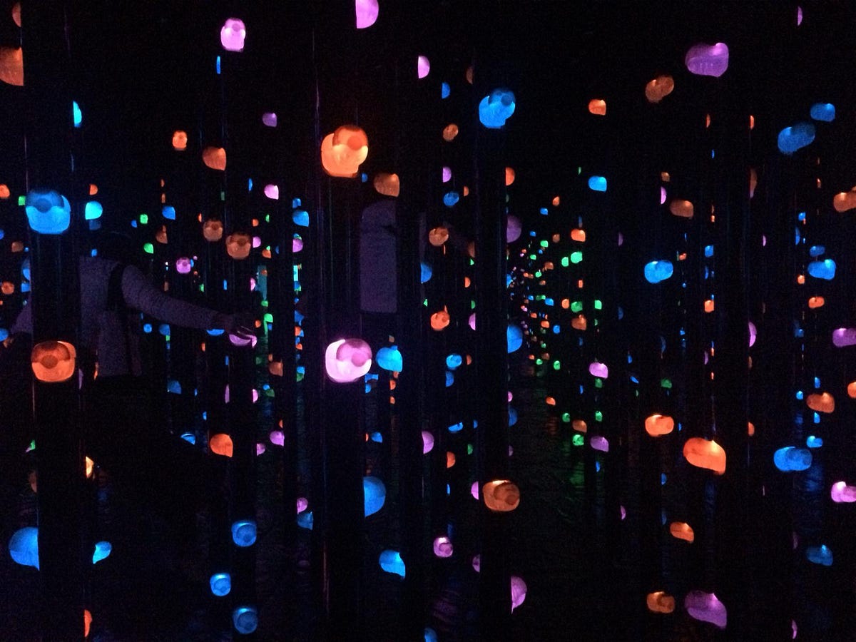 teamLab @ Tokyo 2019 | teamLab:LIFE @ Seoul 2021 | by microwavestine ...