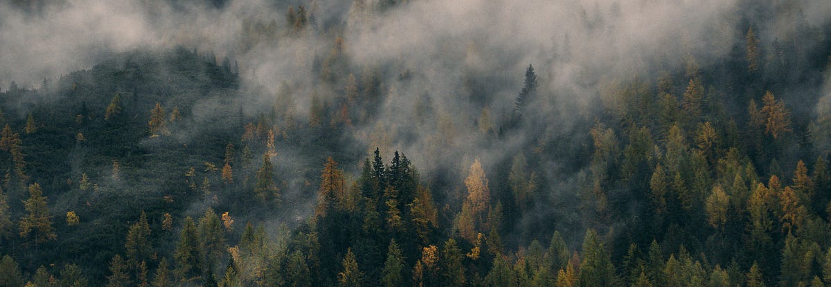 Basic Jekyll Markdown And Syntax Using The Jekyll Static Site Generator
