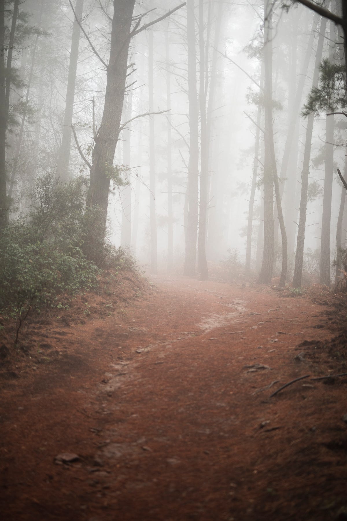 Navigating the Fog of Material Emissions: Making Smart Choices Without ...