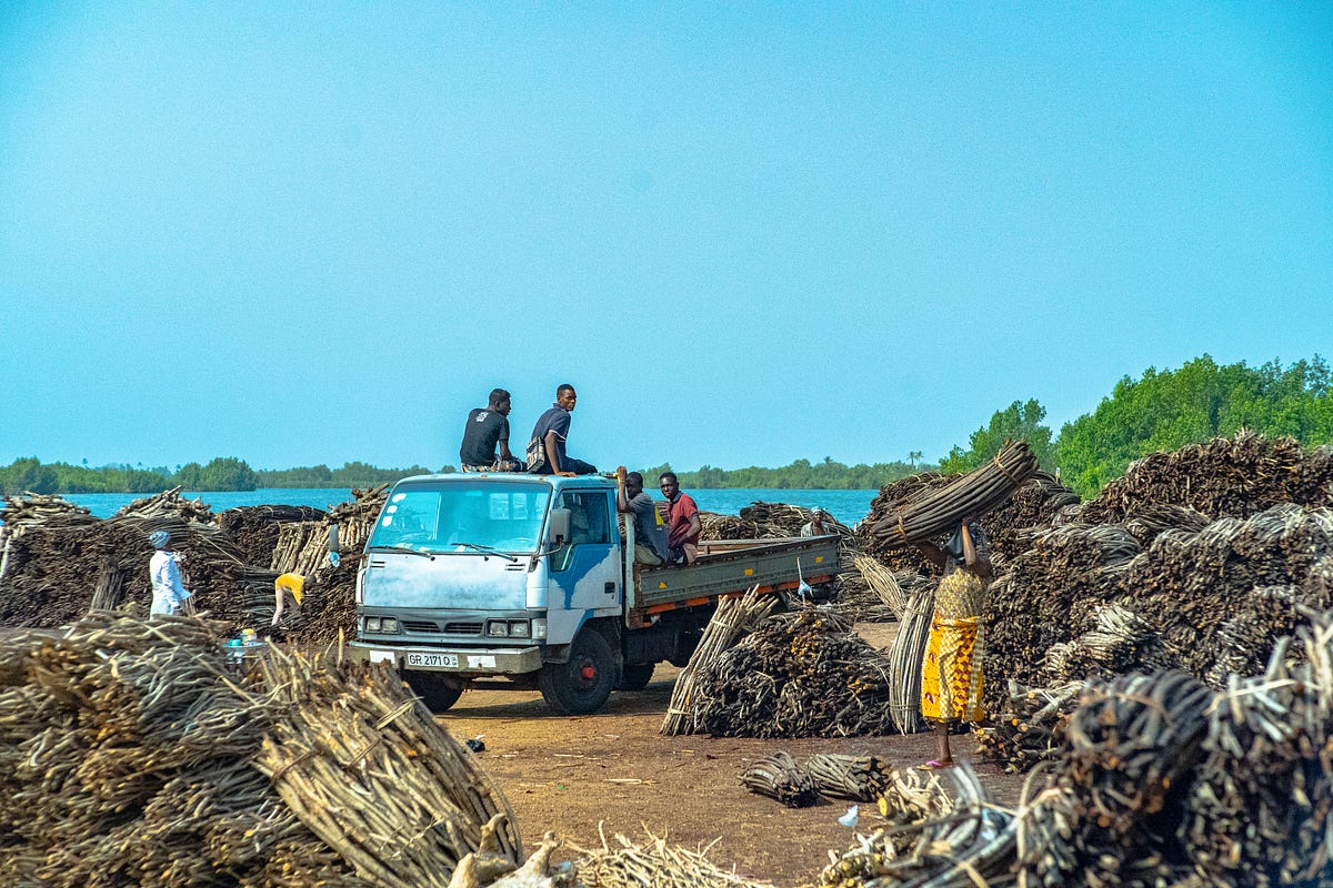 The Poverty-Degradation Trap. Essentially, all life depends upon the… | by Neal Spackman | Medium