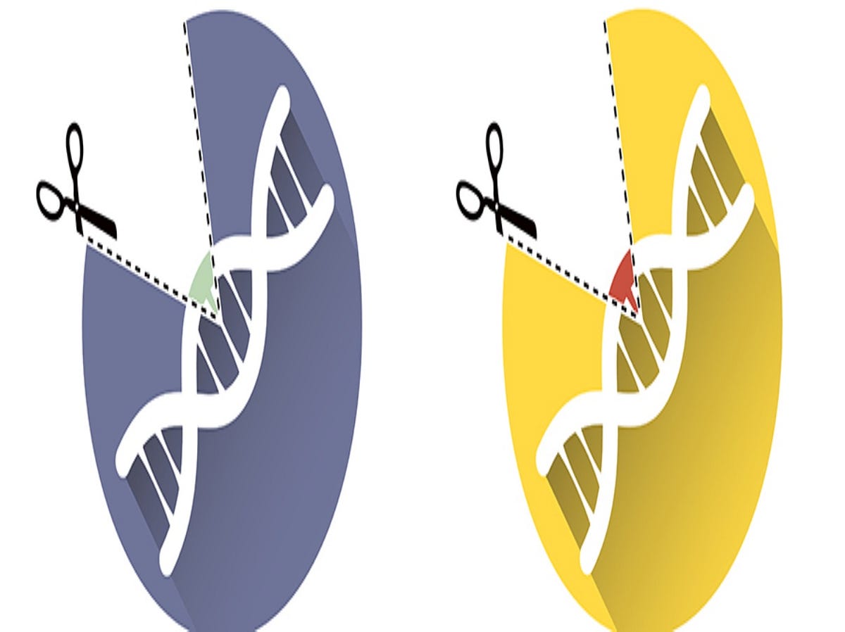 Base Editing Market to Expand Significantly by 2024 | ElevateBio ...