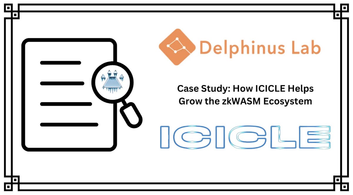 How ICICLE Helps Grow the zkWASM Ecosystem | by Ingonyama | Oct, 2024 ...