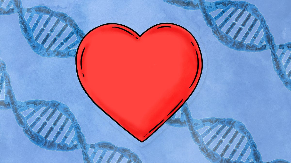 How Falling in Love Physically Changes Our Genes | by Joe Duncan ...