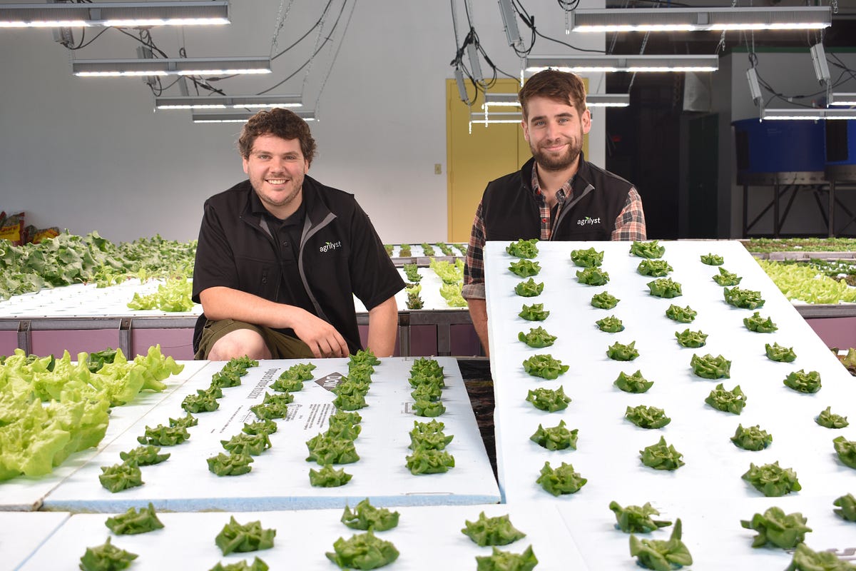 How Trifecta Ecosystems uses barcodes to improve operations | by ...
