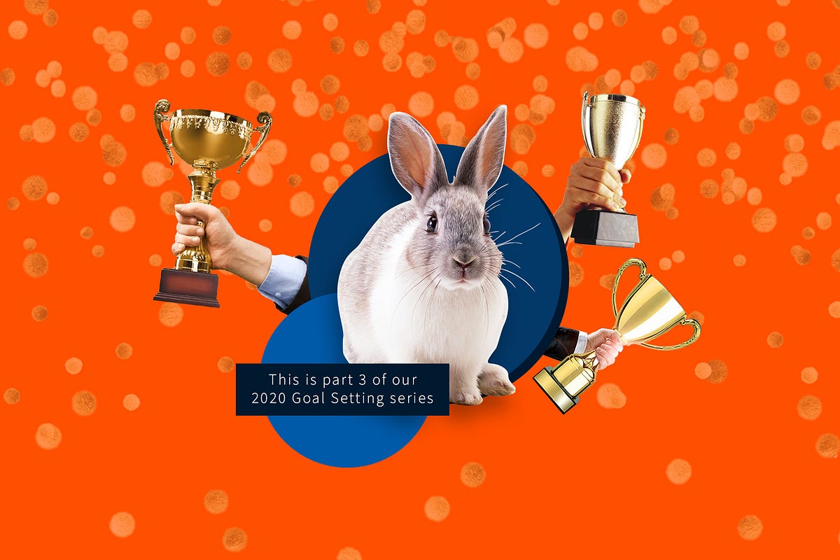 2020 Goal Setting: The Curse Of The Hare (Part 3) | by Planet Awareness ...