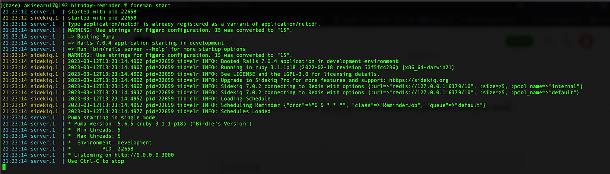 Run multiple process using Procfile with Foreman gem Ruby on Rails | by AkiseAru17 | Medium