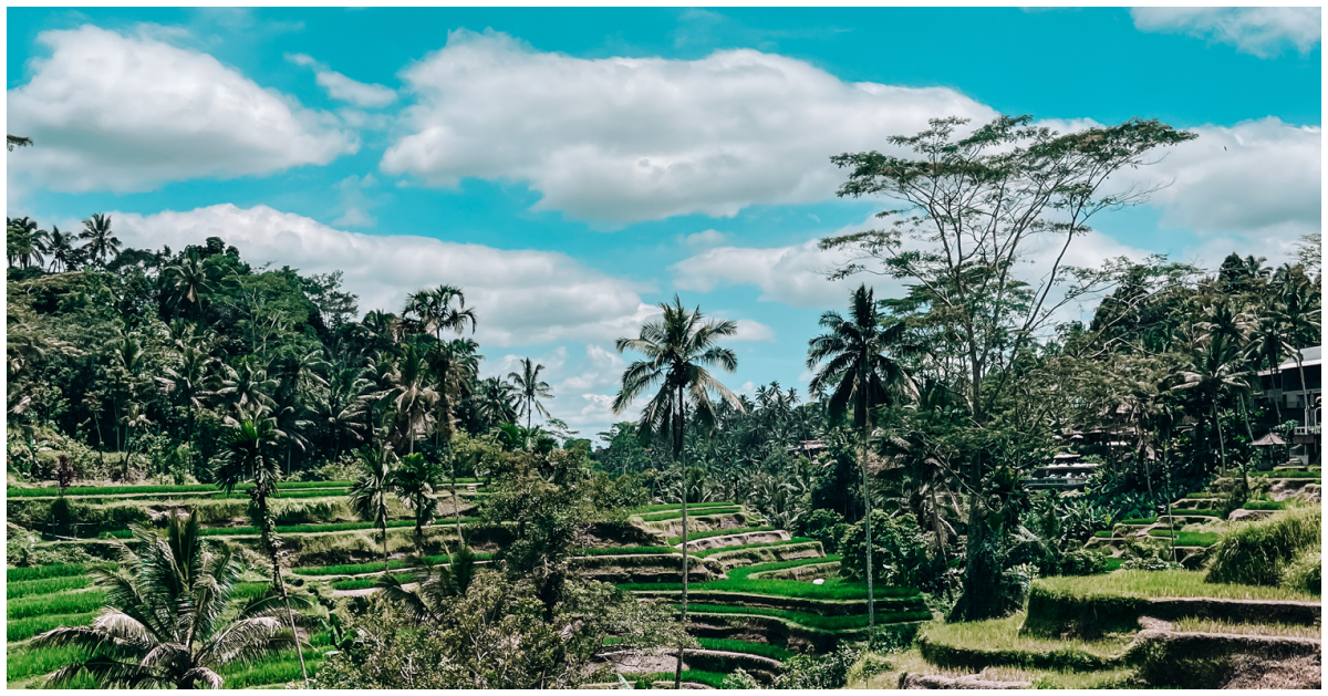 Wellness Guide To Ubud, Bali. Ubud wasn’t anything like I imagined ...