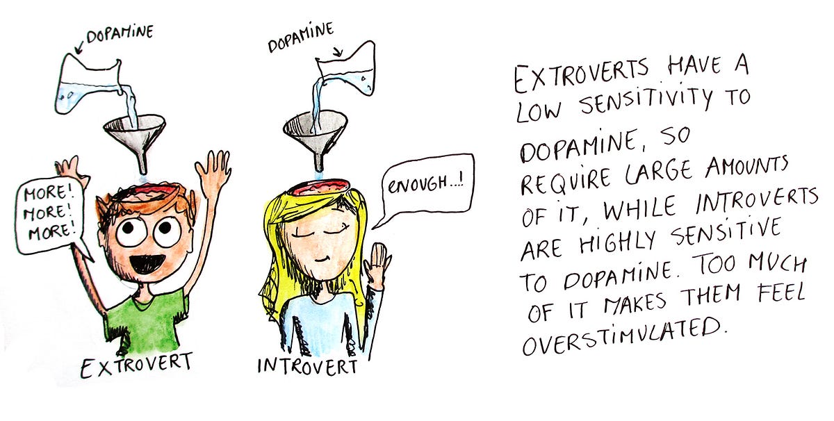 The Science Behind Introversion. Are you someone who finds peace in ...