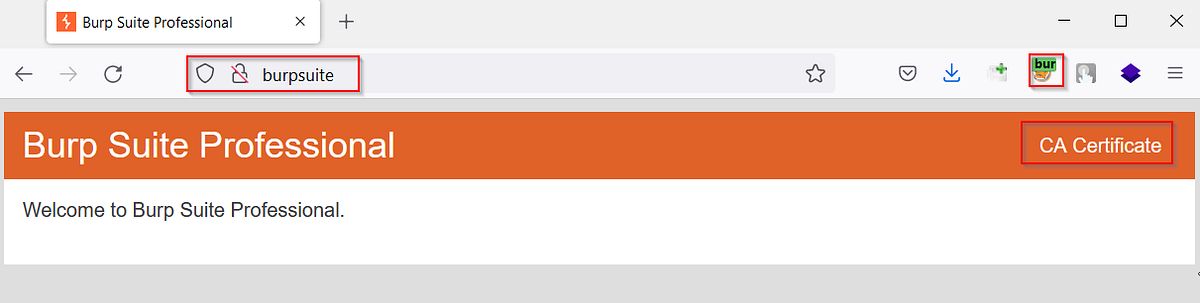 Burp Suite Tips and Tricks. A collection of useful features for… | by ...