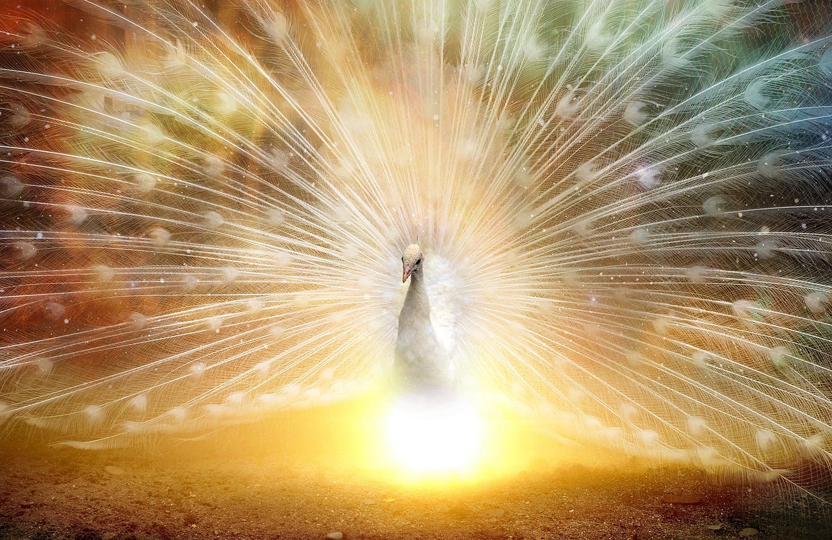 The Many Wonderful Faces Of Success! | by Elena Cooper | Medium