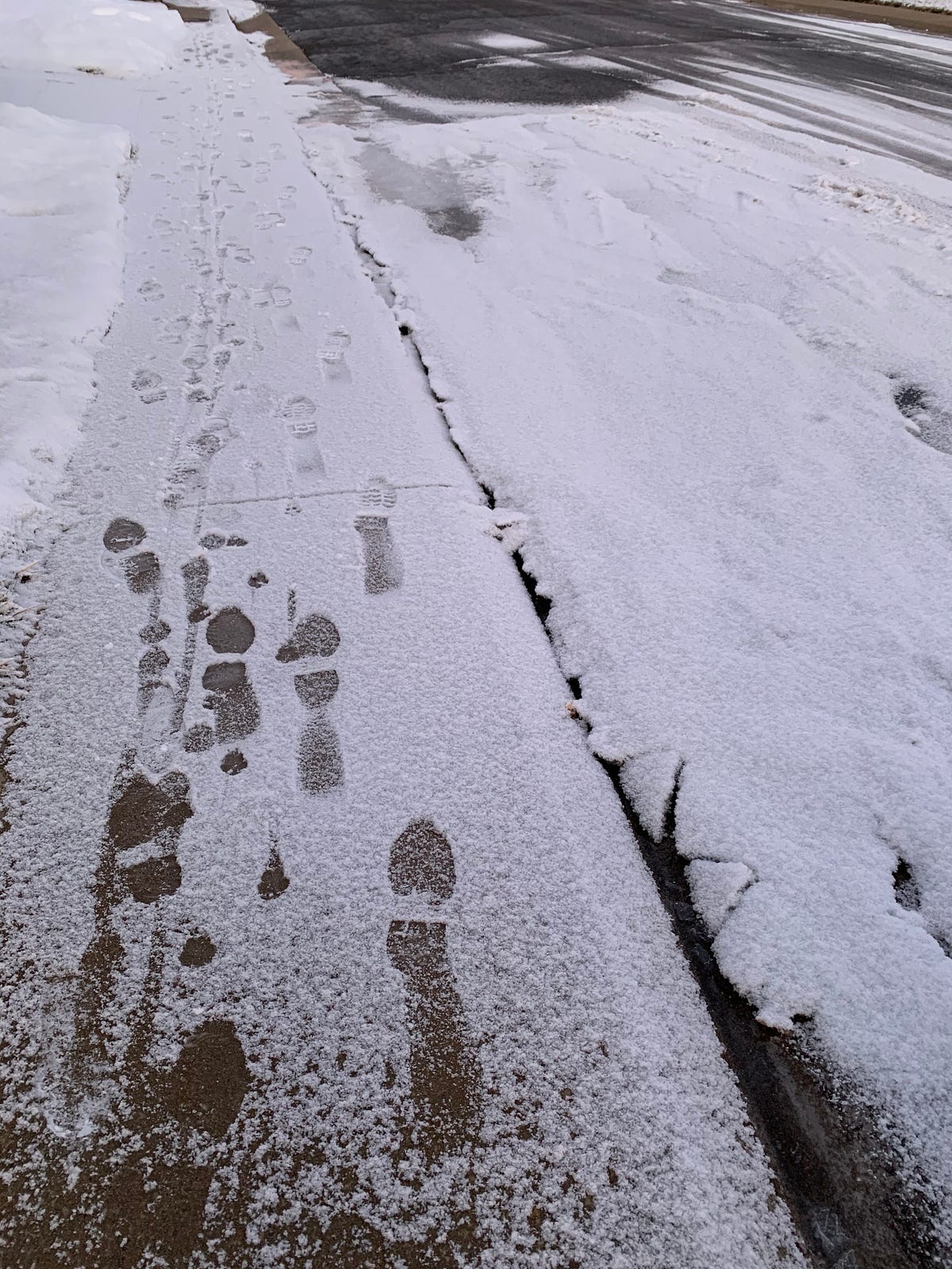 The Cycle. utter destruction | by Jacob (Jake) Severn | Medium