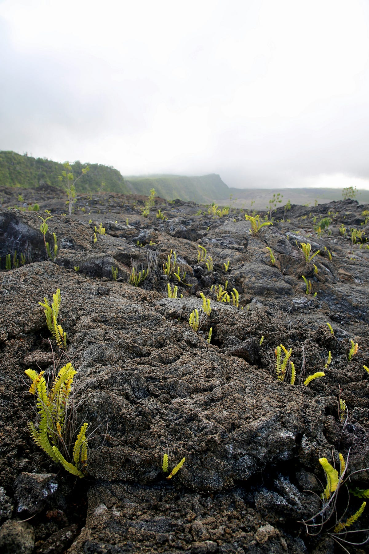 Don’t Tick Off the Volcano Goddess | by Terri Patkin | The Memoirist ...