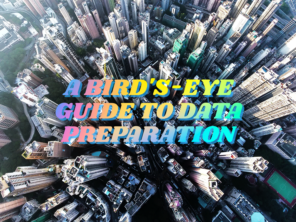 A Bird’s-eye Guide to Data Preparation | by Dana Godrich | Medium