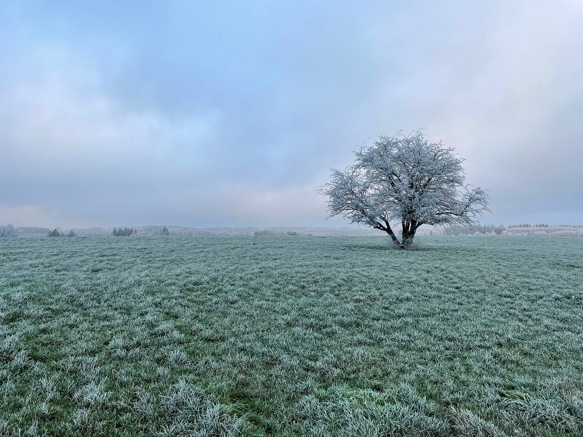 Simulation of Gary Antonacci’s Dual Momentum Sector Rotation Strategy ...