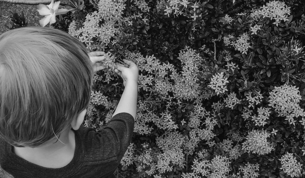 Teaching Kids About Plants and Respect for Nature: Resources for ...