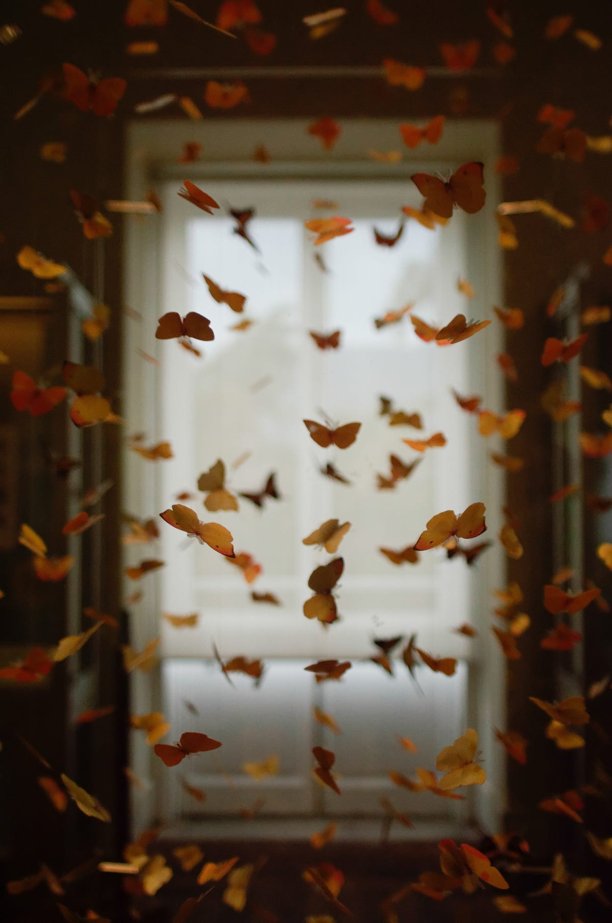A poem for someone who has been rejected. | by Nancy De la Garza | Medium