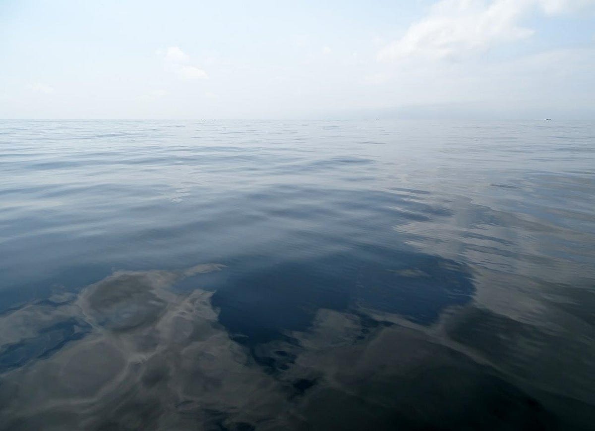 Navigating the Depths of Awareness: From Cultural Observation to the ...