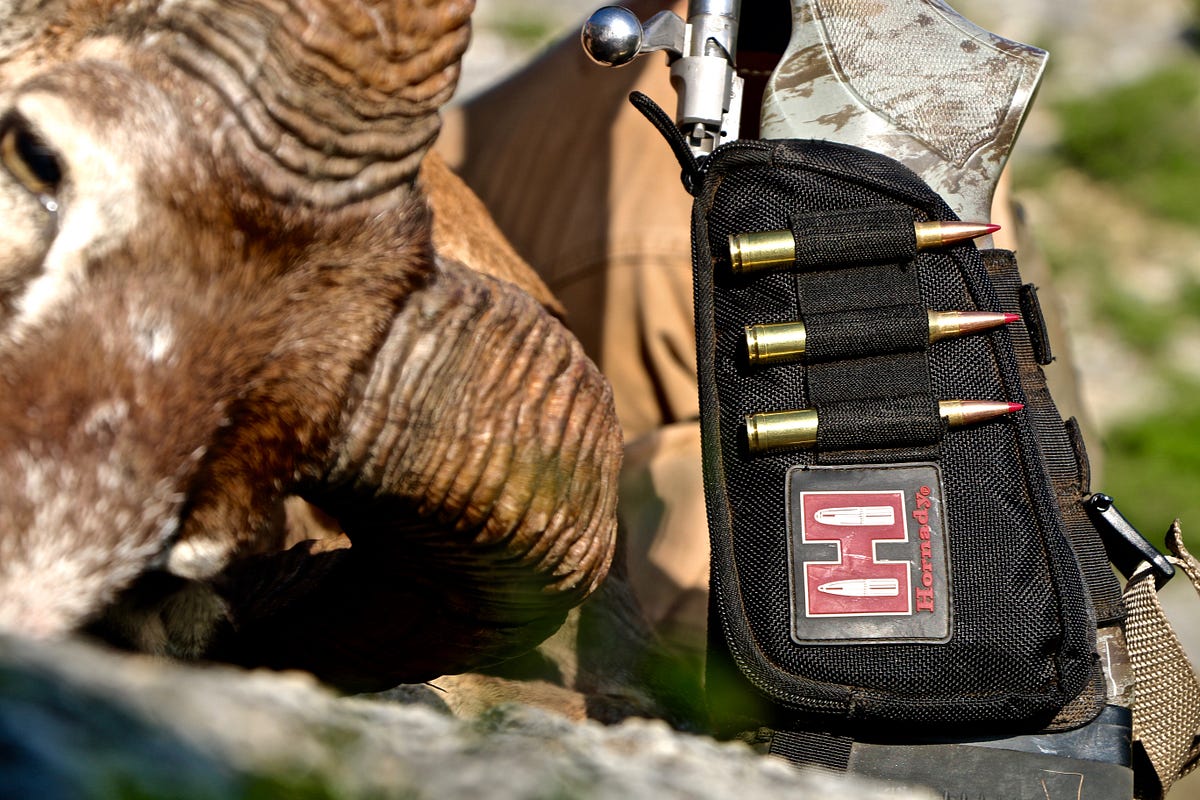 Terminal performance. Wildlife biologist and outdoor writer… | by Hornady Manufacturing | The ...
